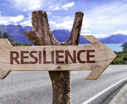 Resilience redefines the terms for success and survivalDialogue Review