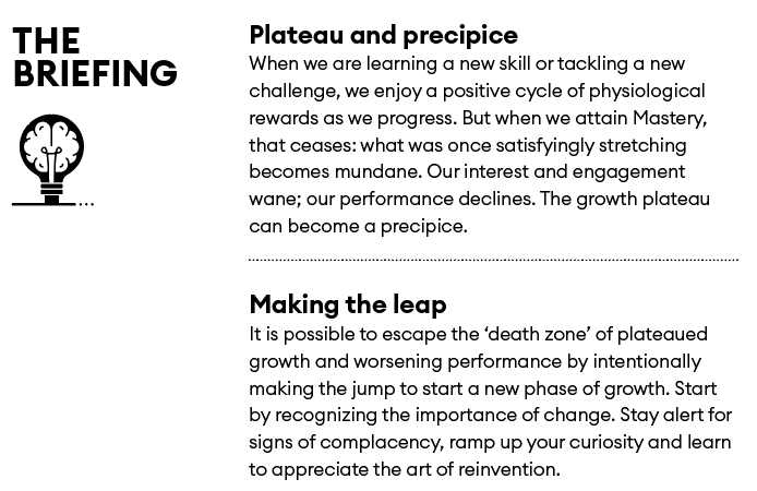 the-briefing - Dialogue Review